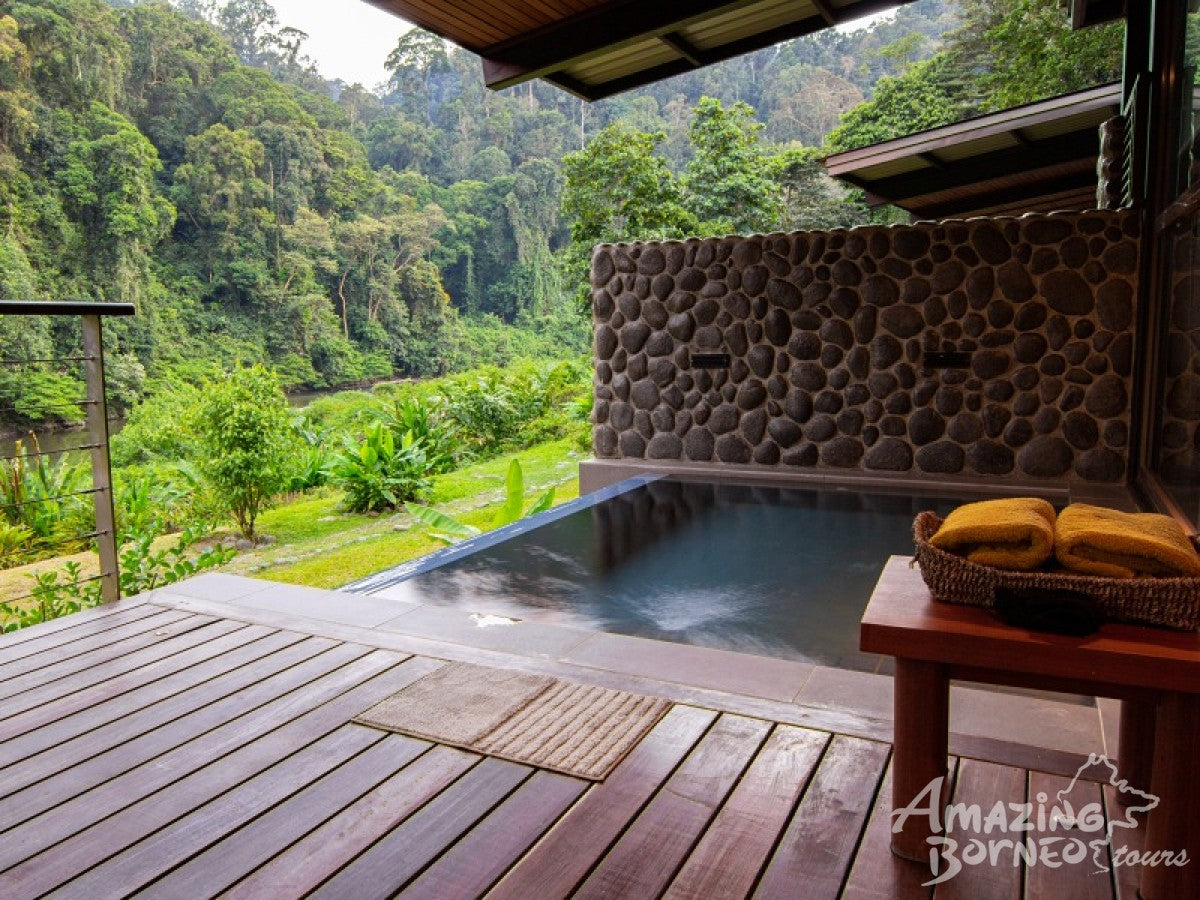 5D4N Borneo Rainforest Lodge - Danum Valley Rainforest Jungle Serenity ...