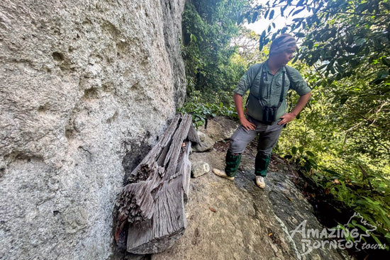 4D3N Borneo Rainforest Lodge & Blue Rings Reef – Danum Valley Discover ...