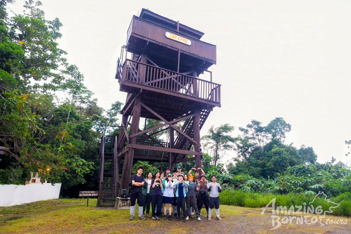 5D4N Danum Valley Expedition with INFAPRO Reforestation Stay – Danum ...