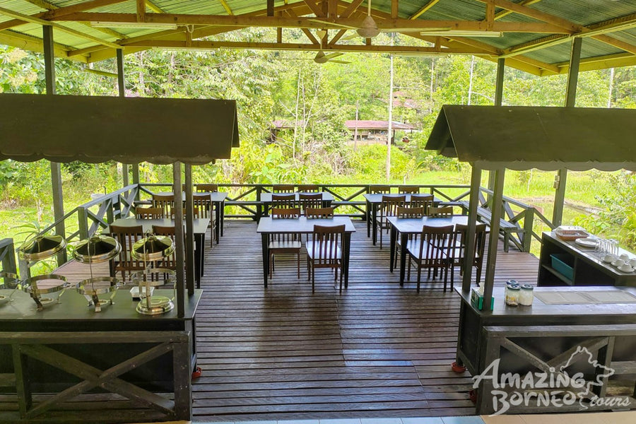 4D3N Danum Valley Wildlife Adventure with INFAPRO Reforestation Stay ...