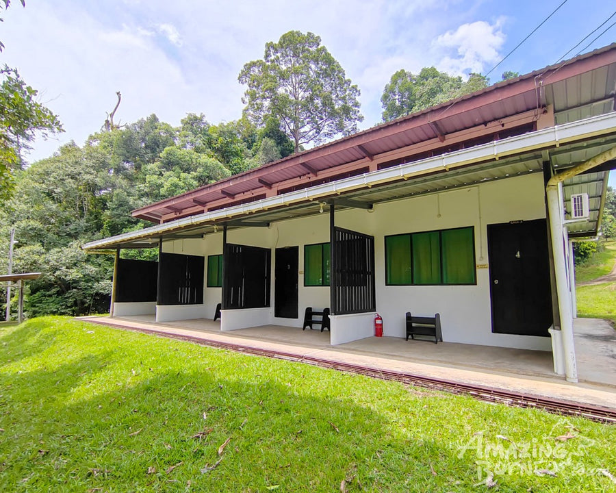 4D3N Danum Valley Wildlife Adventure with INFAPRO Reforestation Stay ...